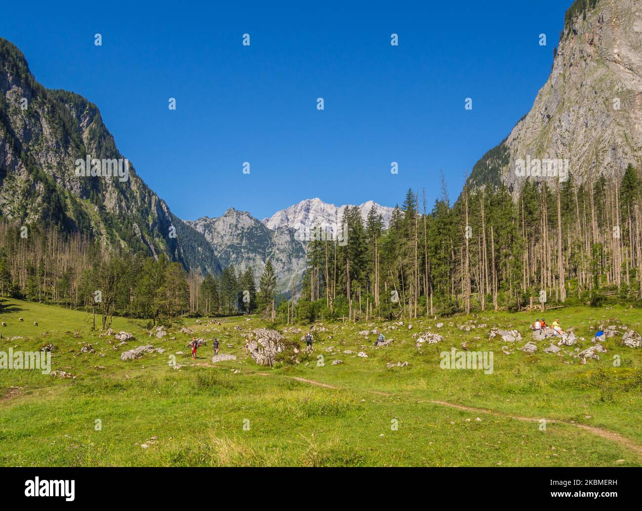 View of the Watzmann in Berchtesgaden Stock Photo - Alamy