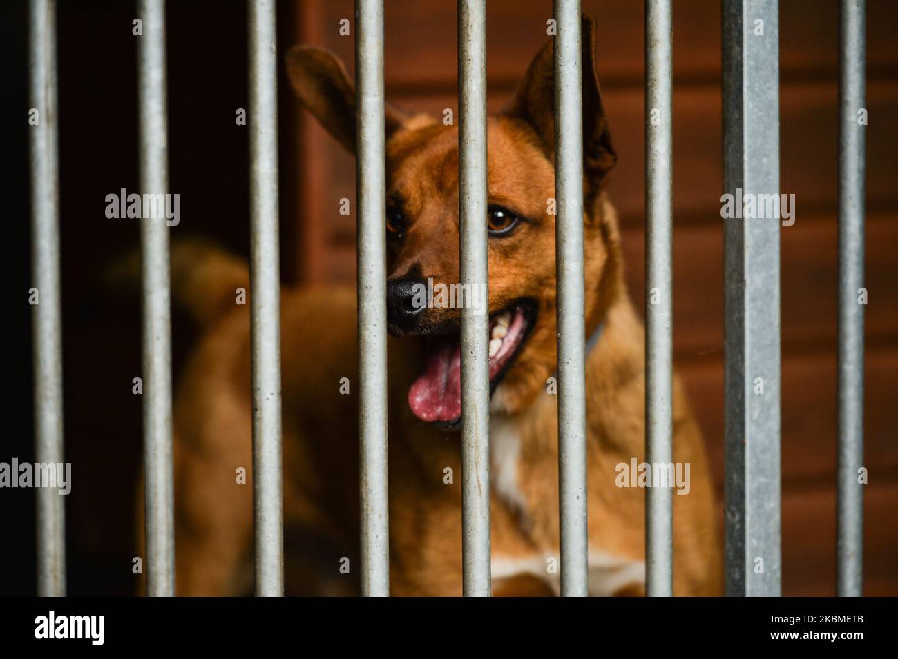 Adoption facility hi-res stock photography and images - Alamy