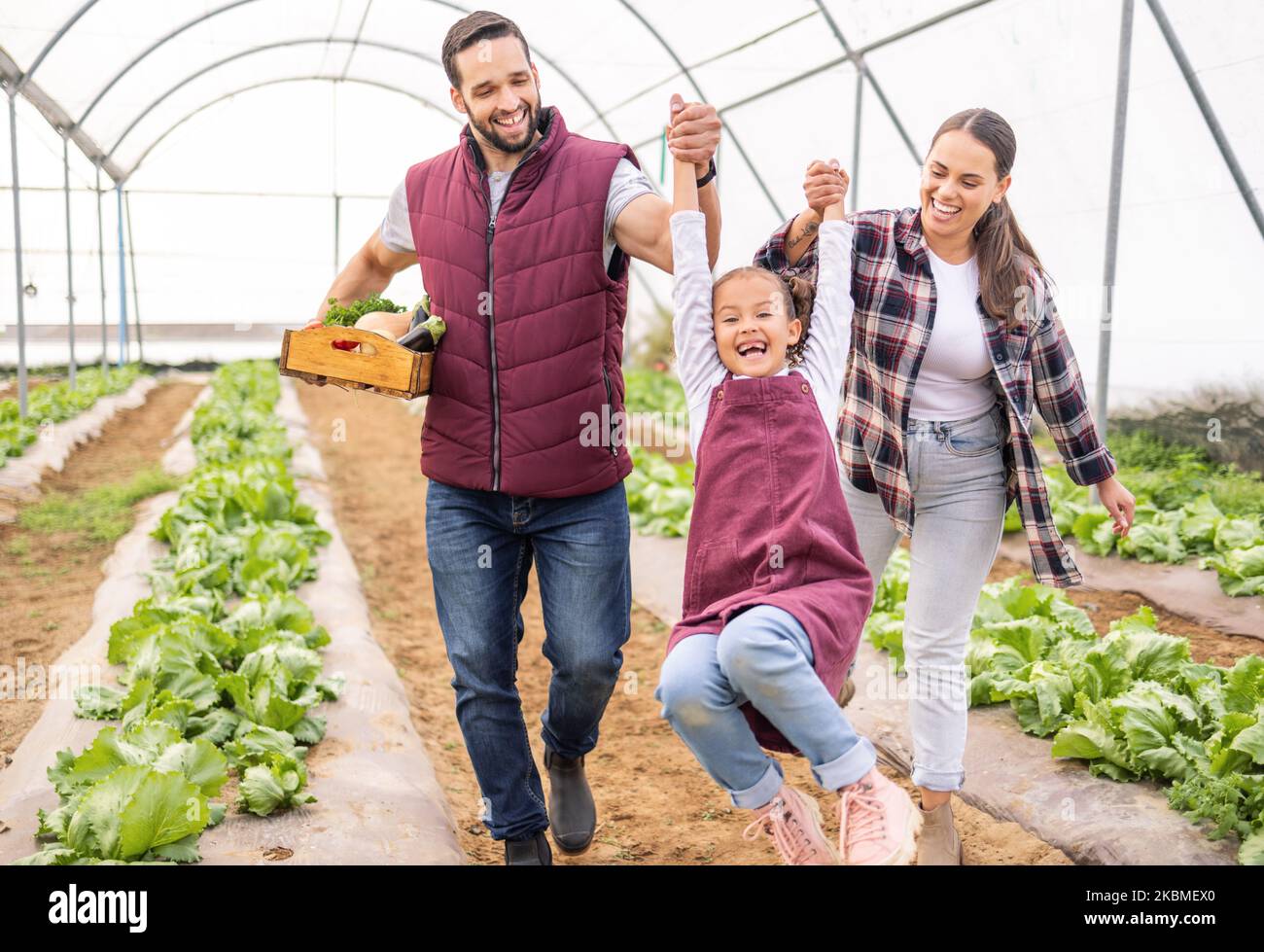 Farmer family, play with child and greenhouse farming swing daughter on ...