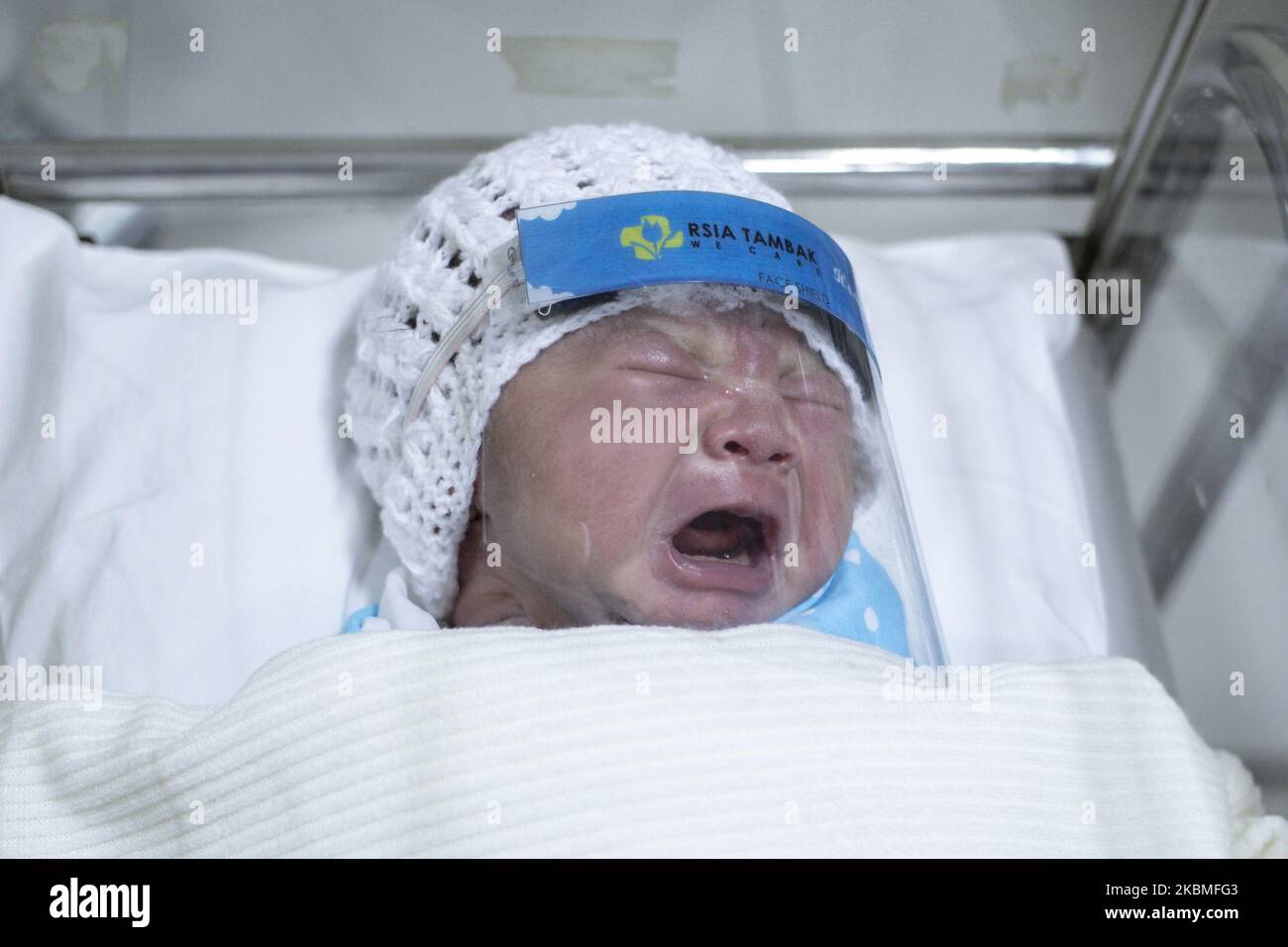 Mini face shields hi-res stock photography and images - Alamy