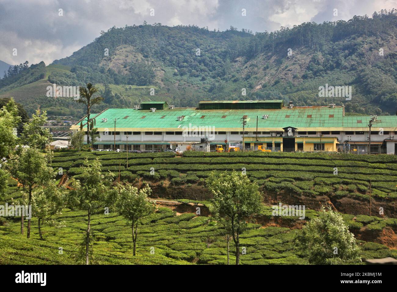 Tea factory at of one of the many tea estates in Munnar, Idukki, Kerala ...