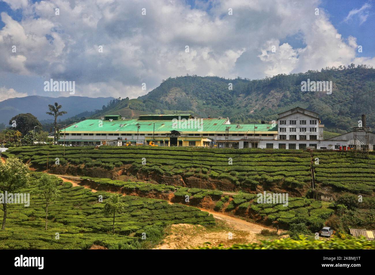 Tea factory at of one of the many tea estates in Munnar, Idukki, Kerala ...