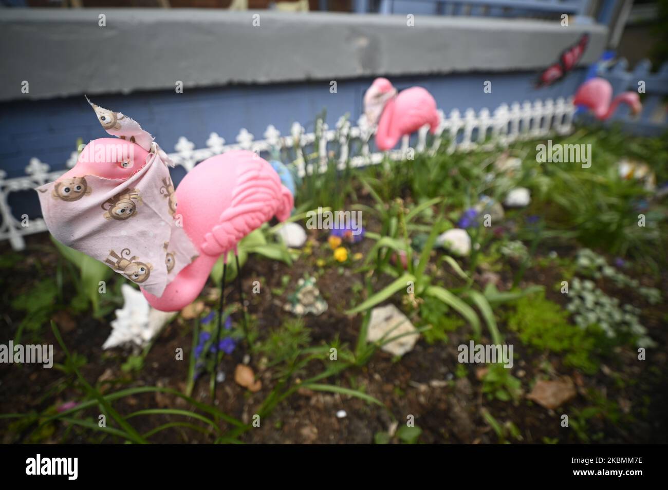 Bandana face mask hi-res stock photography and images - Alamy
