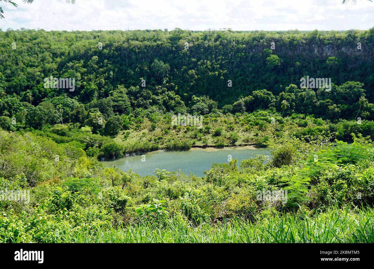 tropical landscape at river chavon in the dominican republic Stock ...