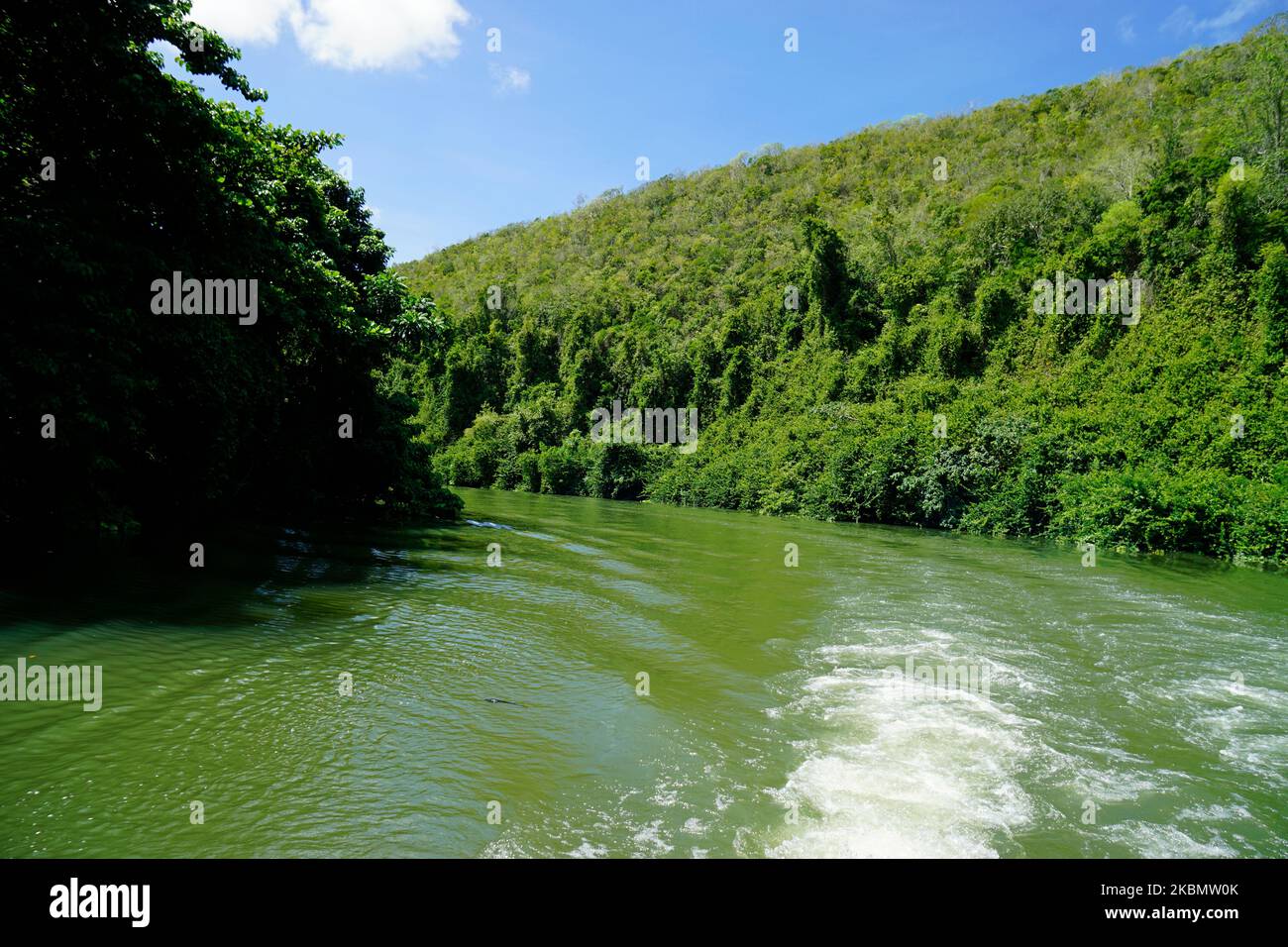 tropical landscape at river chavon in the dominican republic Stock ...