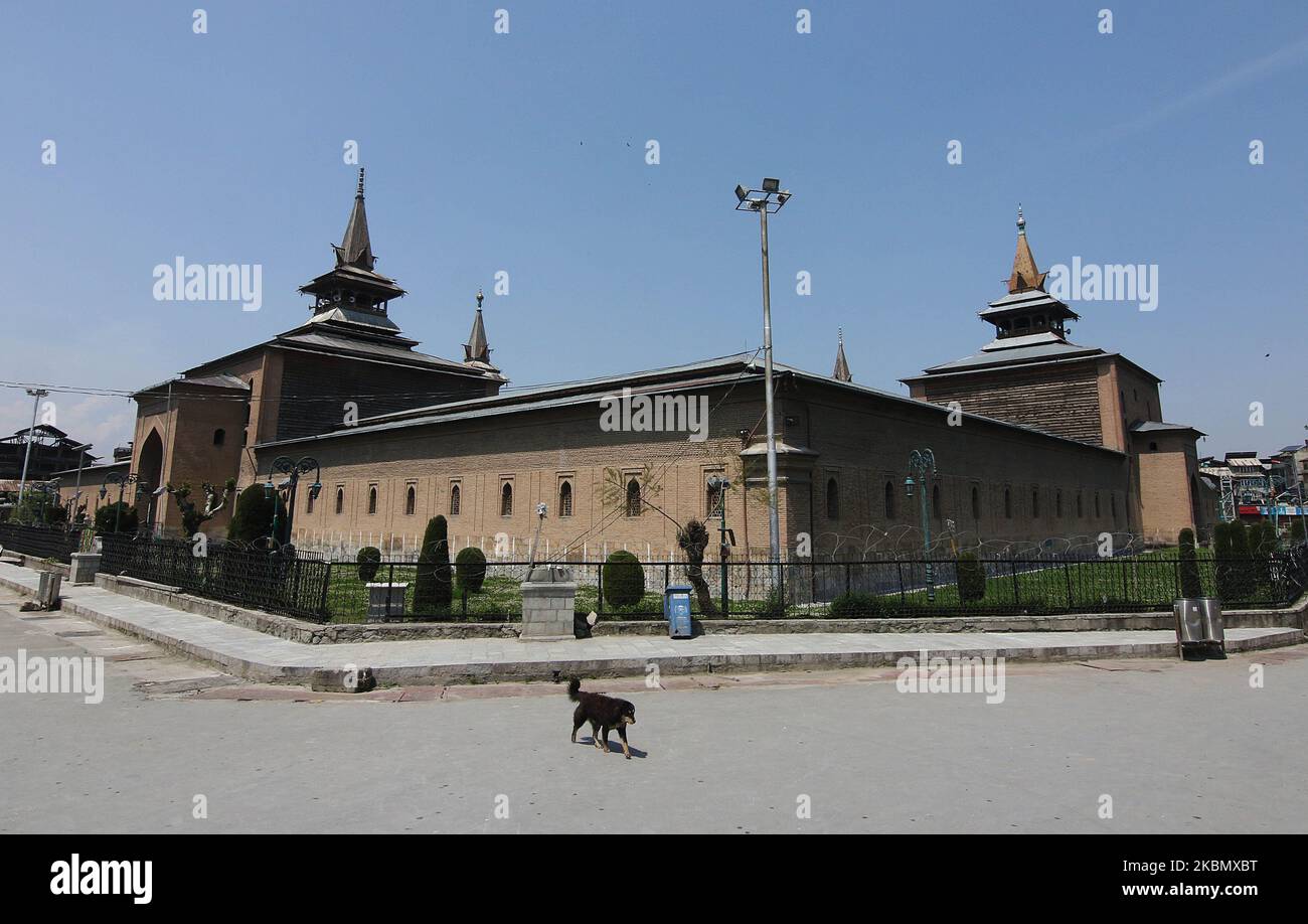 A dog moves outide the grand mosque which is closed for public on the ...