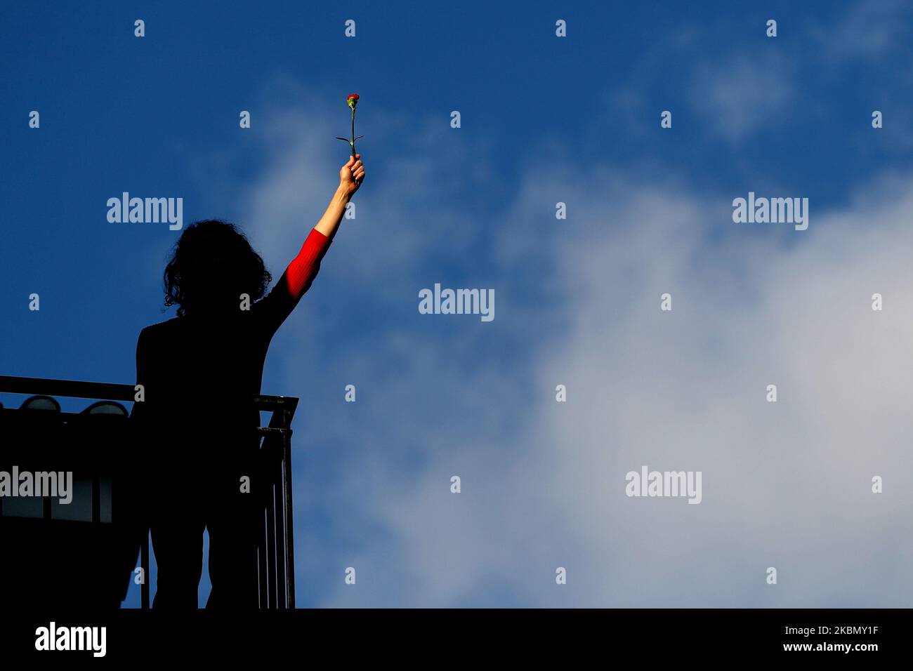 A woman holds a red carnation (symbol of the 25 April 1974 Portuguese ...