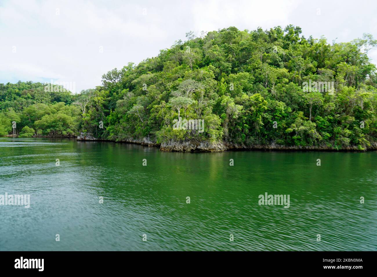 green bird island in the los haitises national park in the dominican ...