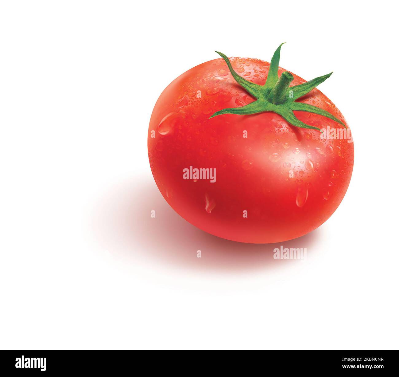 Tomato illustration, isolated on white background Stock Photo - Alamy
