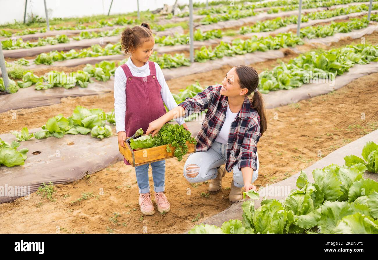 Food, agriculture and mother with girl on farm for health ...