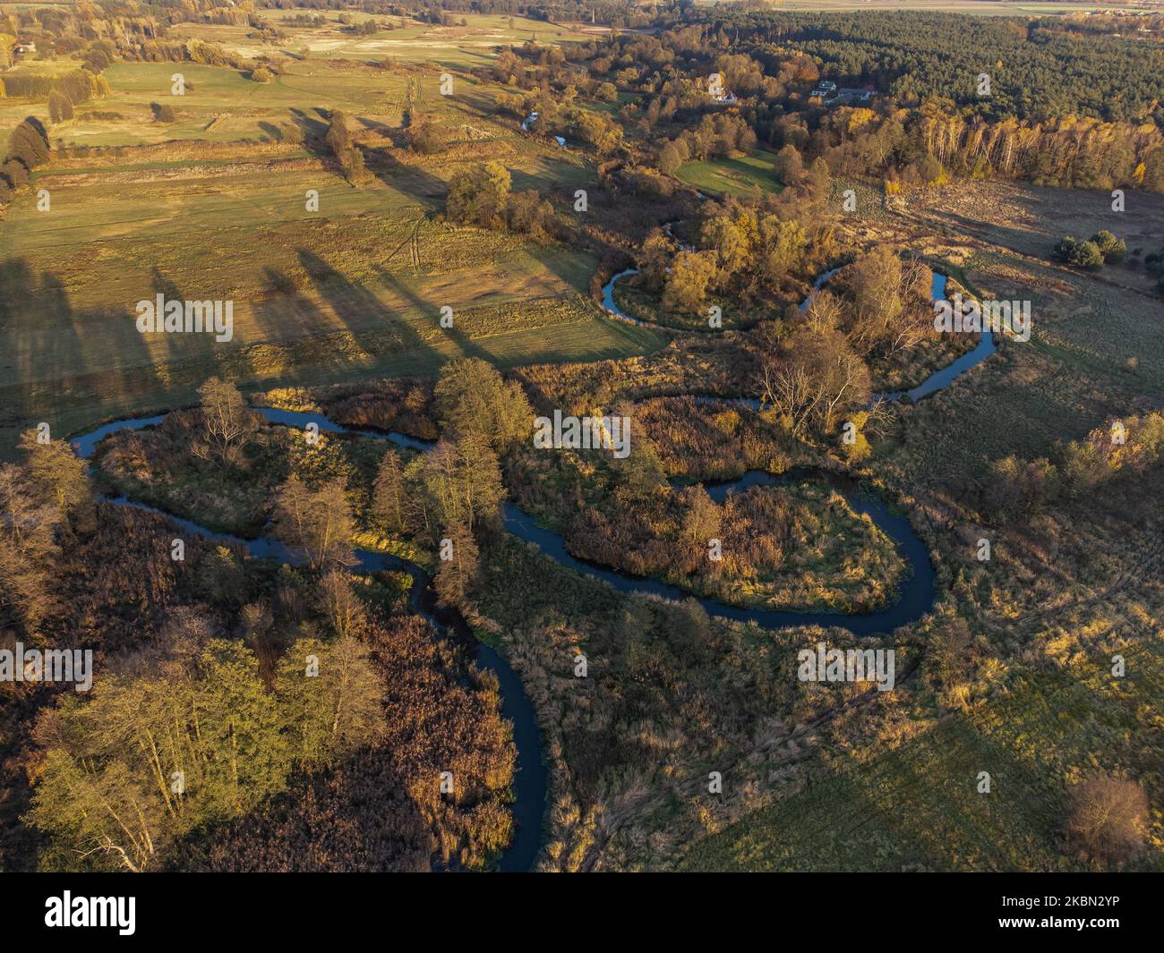 Fall colors by the Grabia River, lit by the setting sun, Poland Stock ...