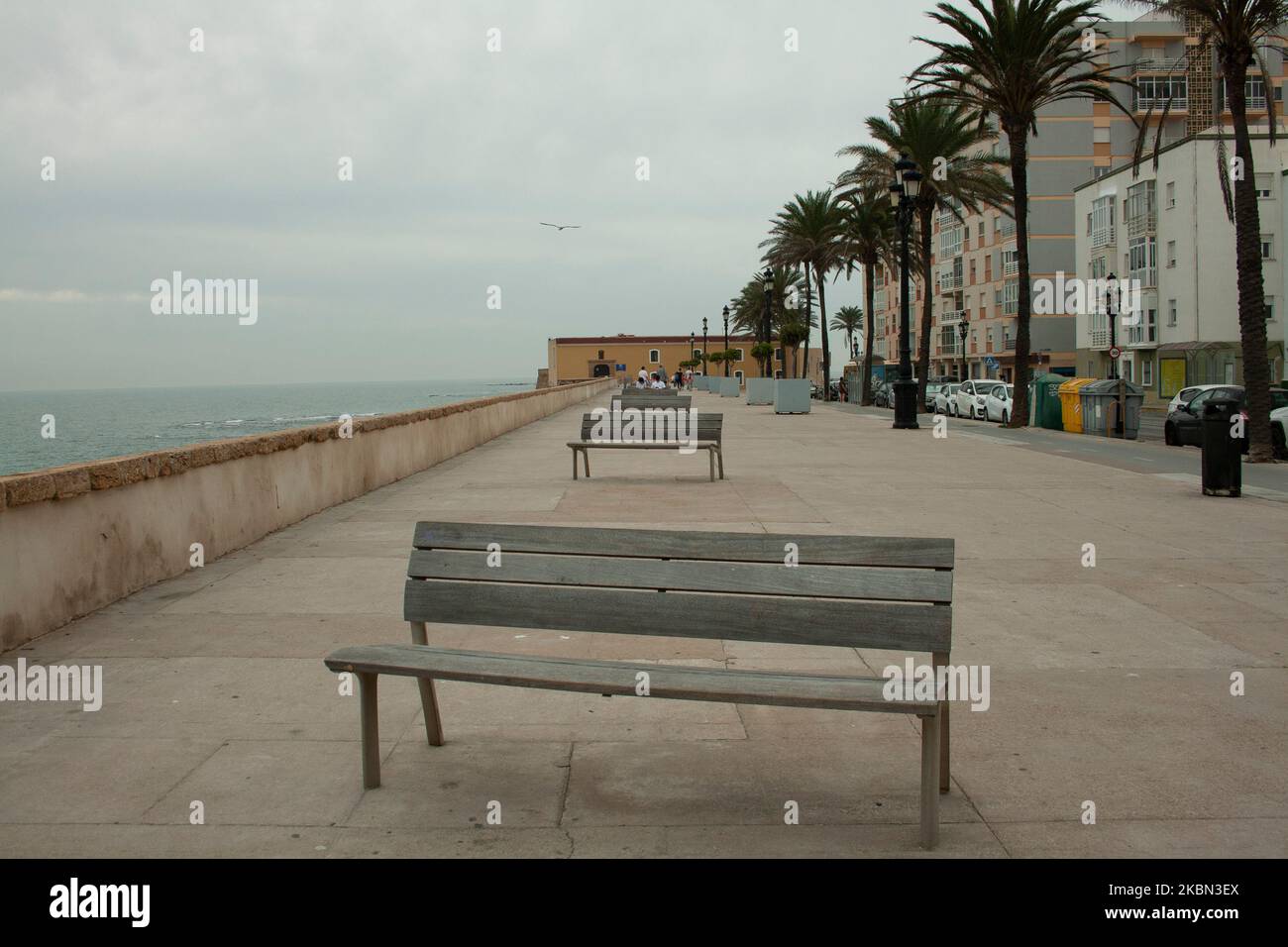 colored benches on the promenade of the city of Cadiz in Spain that ...