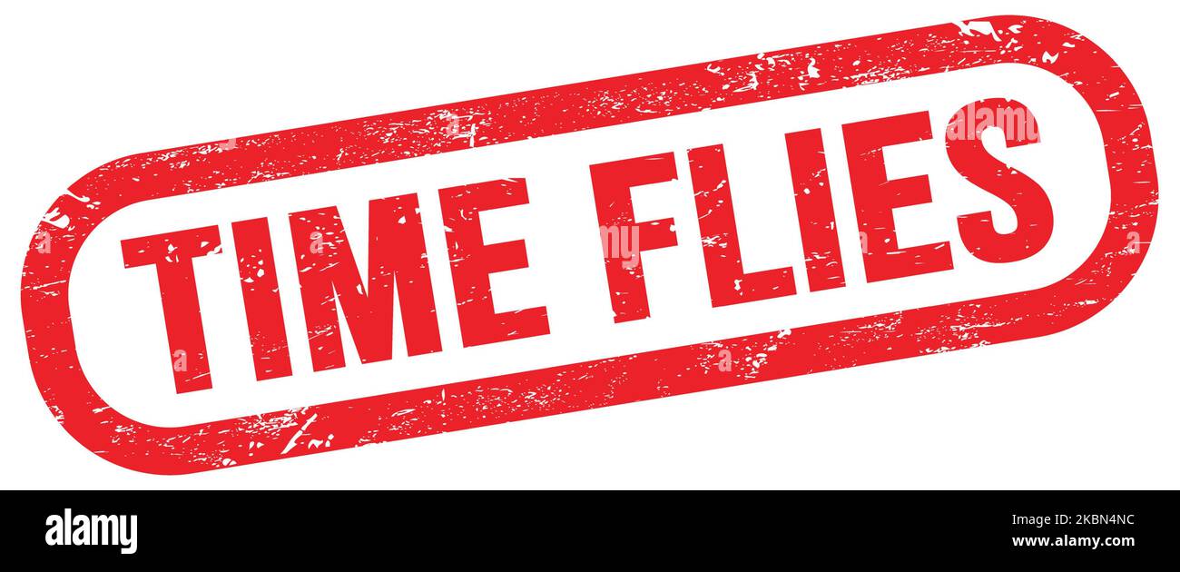 TIME FLIES, text on red rectangle stamp sign Stock Photo - Alamy