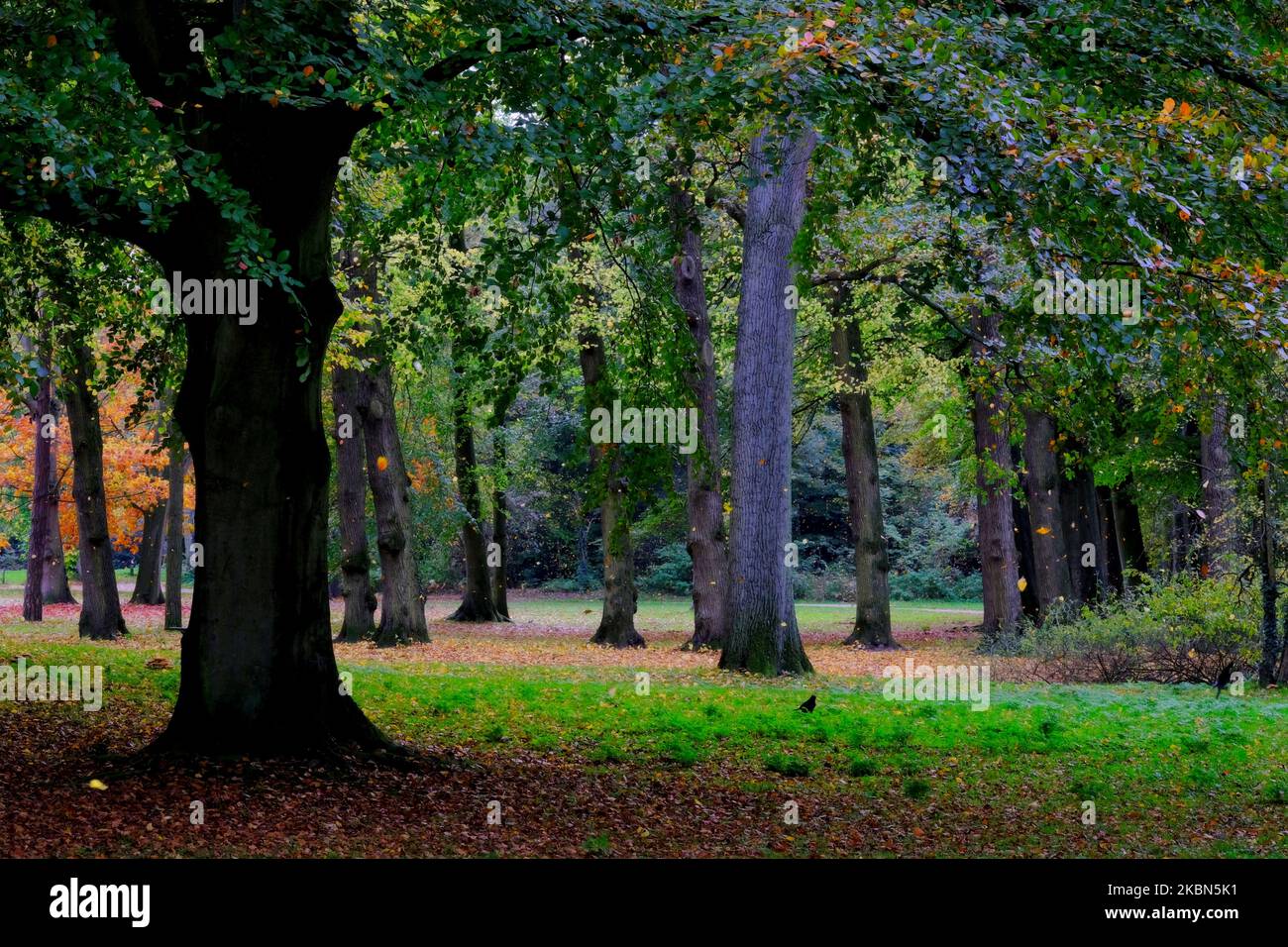 Velserbeek park hi-res stock photography and images - Alamy