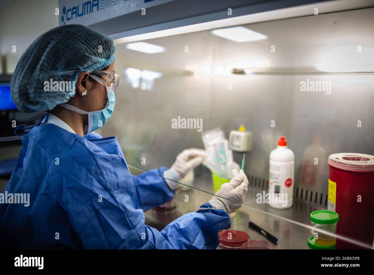 Several infected with the Covid 19 virus recover at the IESS QUITO SUR ...