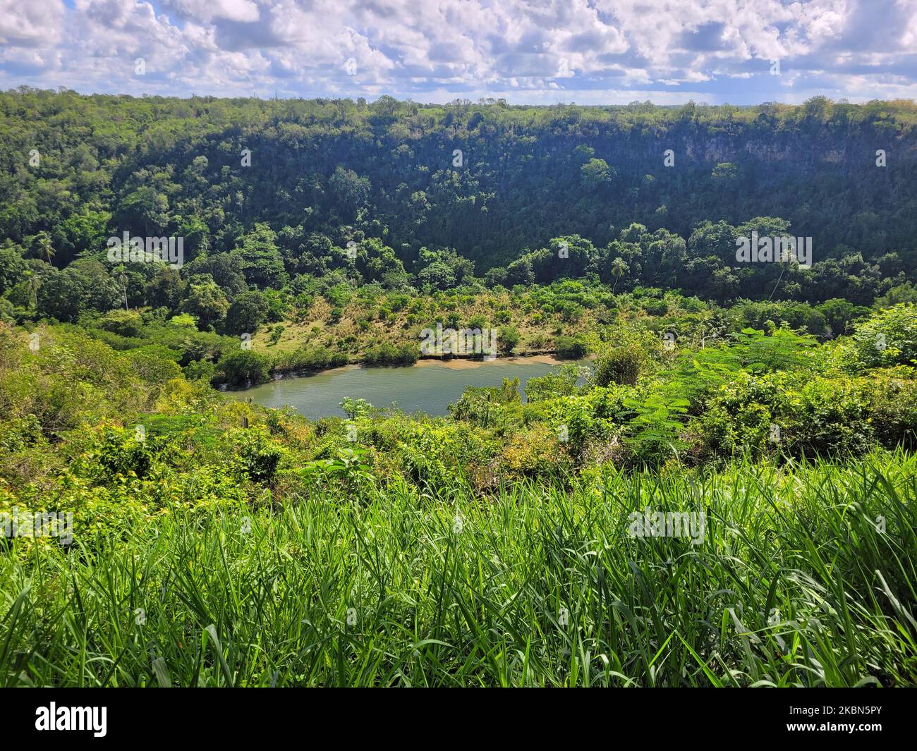 tropical landscape at river chavon in the dominican republic Stock ...