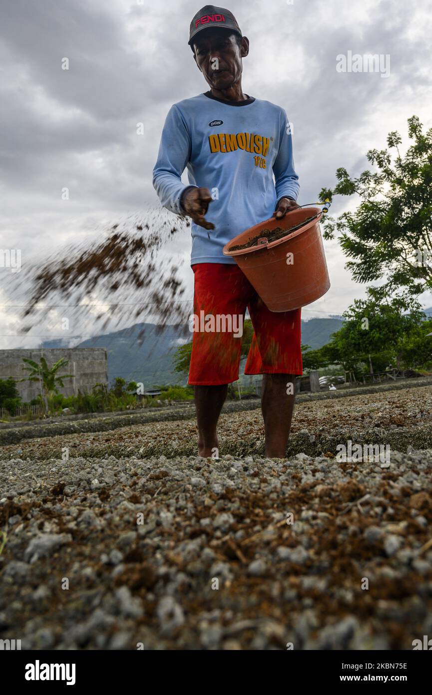 Farmer sprinkles manure hi-res stock photography and images - Alamy