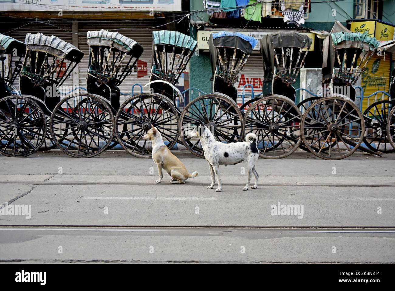 Hand pull rickshaws hi-res stock photography and images - Alamy