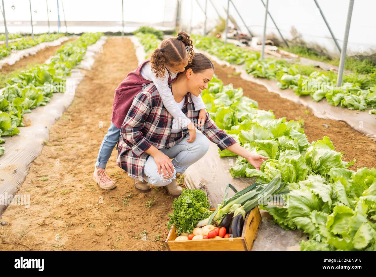 Mother in vegetables garden, farm with child and farmer in family ...
