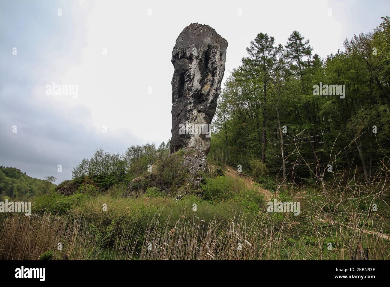 Maczuga Herkulesa rock is seen in Suloszowa, Poland, on 3 May 2020 ...