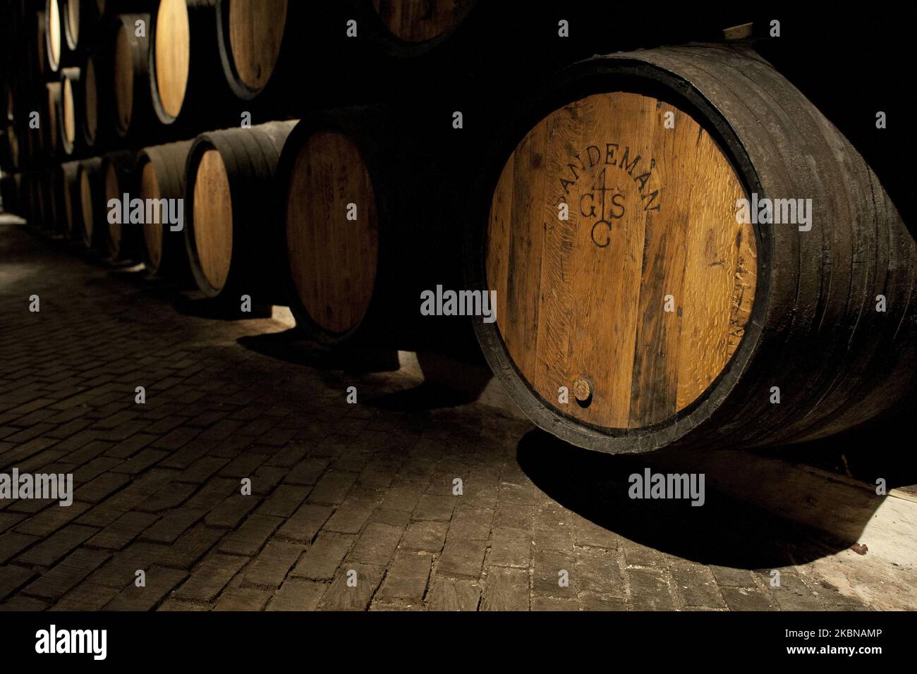 Sandeman wine cellars, in Porto, Portugal, Port wine. These wines were ...
