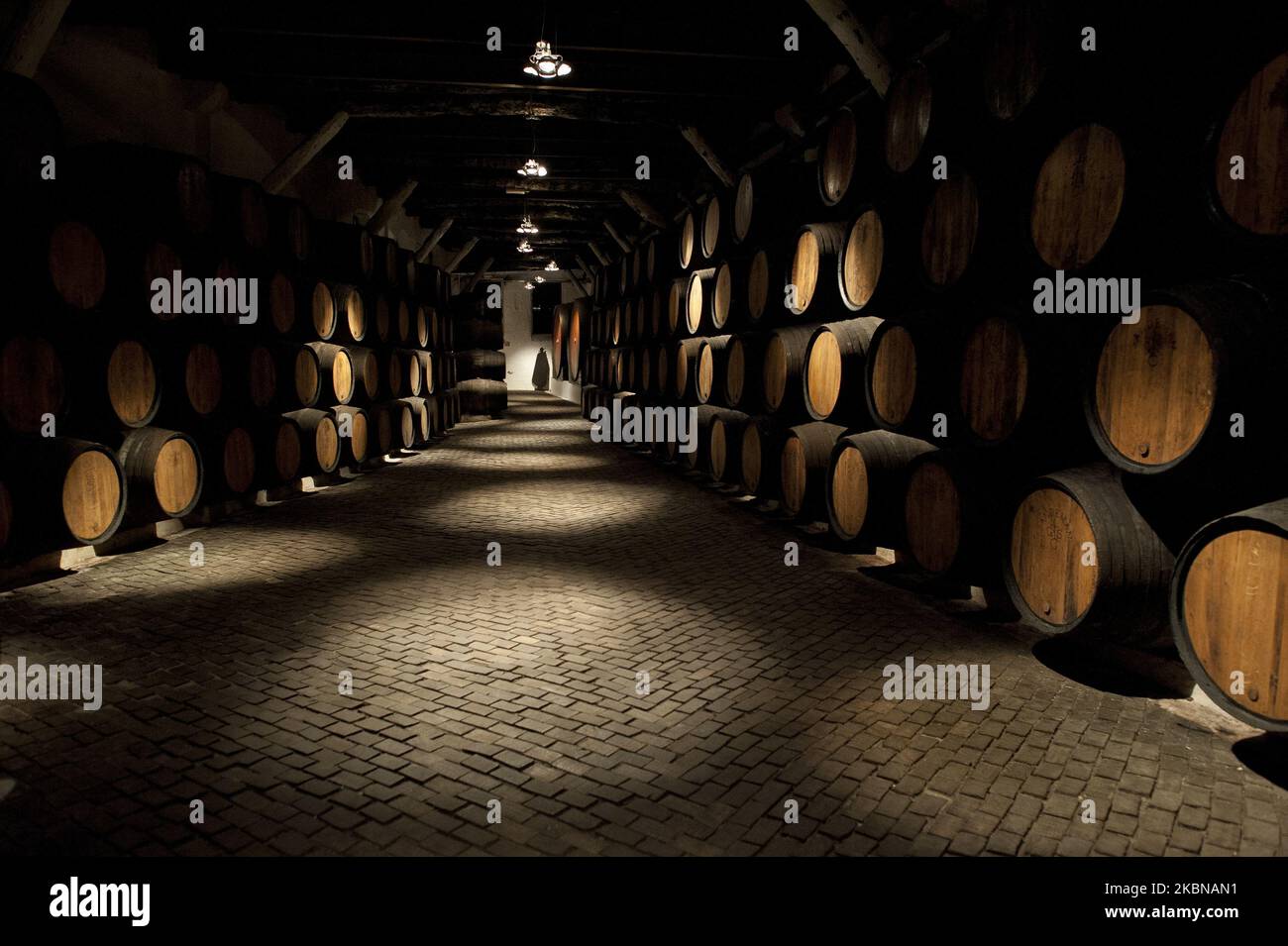 Sandeman wine cellars, in Porto, Portugal, Port wine. These wines were ...