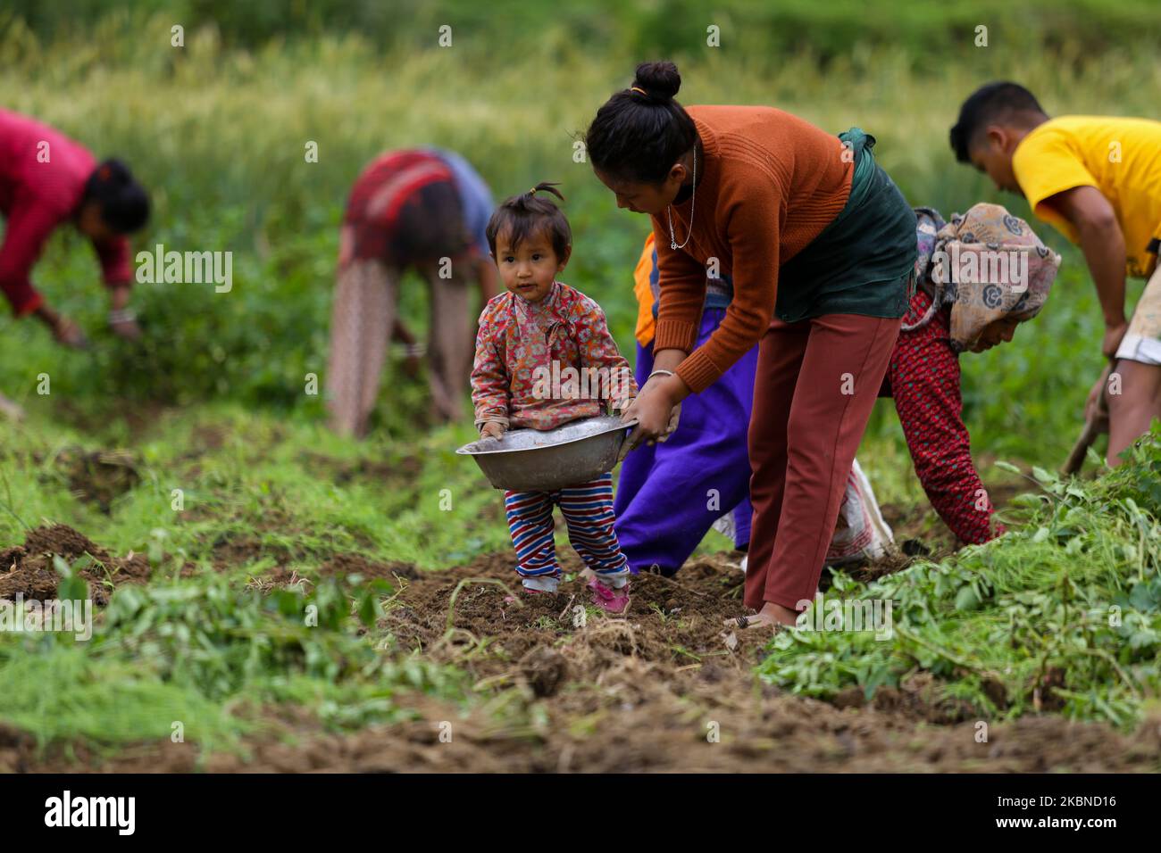 Farmer havert hi-res stock photography and images - Alamy