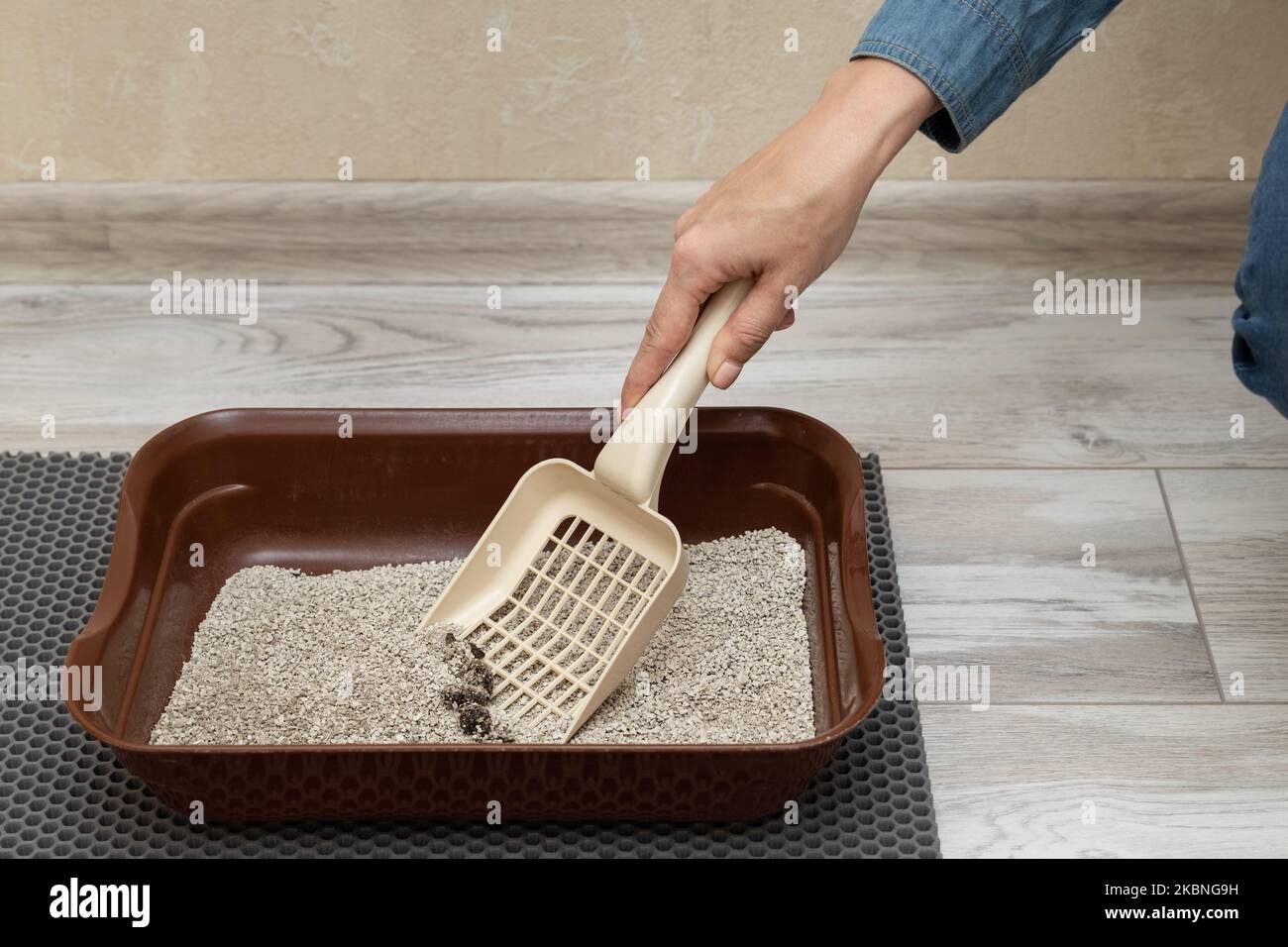 man cleans cat litter with a shovel Stock Photo - Alamy
