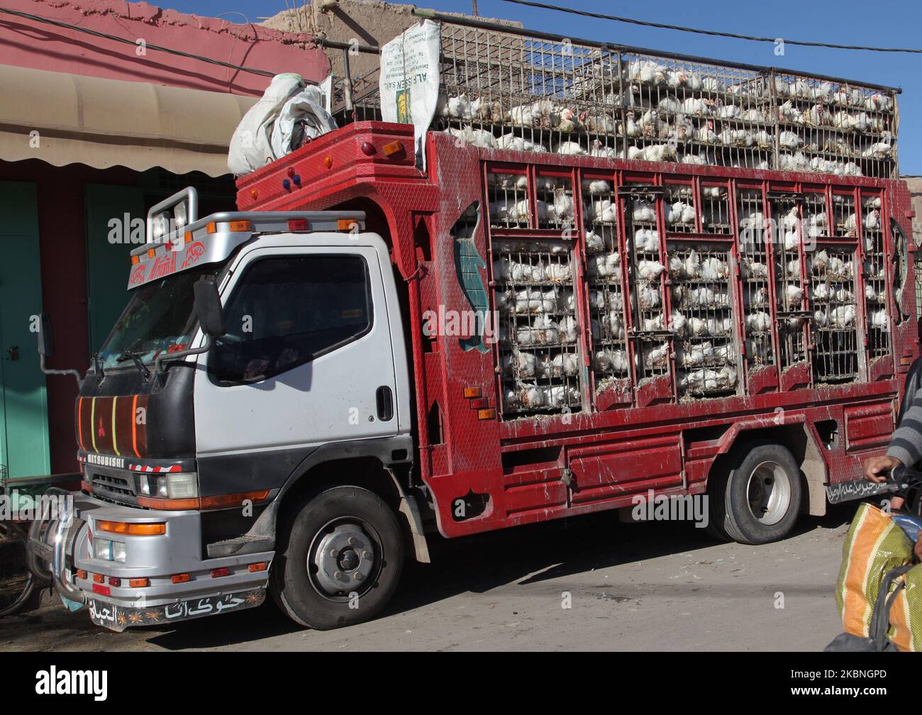 Truck carrying chickens hi-res stock photography and images - Alamy