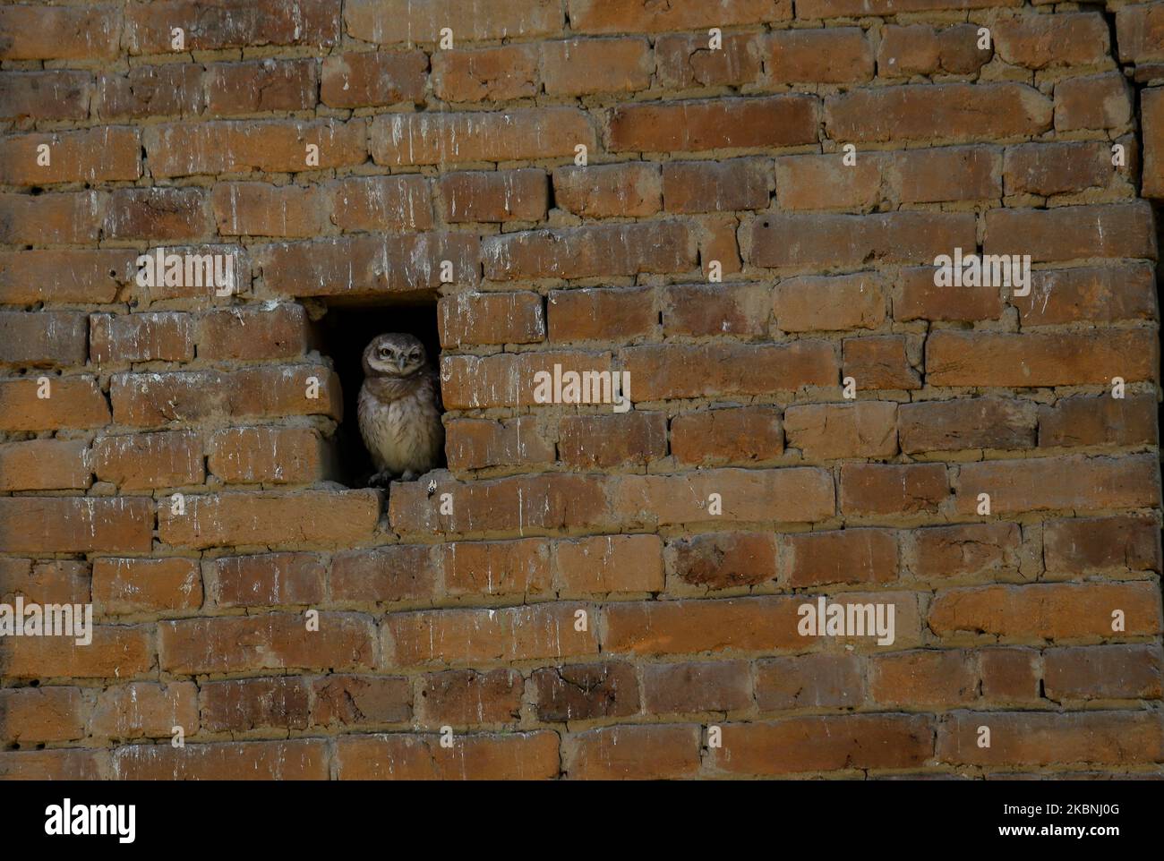 Putlock hole of house hi-res stock photography and images - Alamy