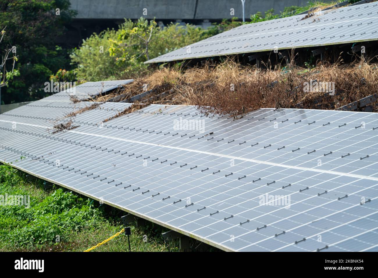 Solar panels, solar system technology solar cell Stock Photo - Alamy