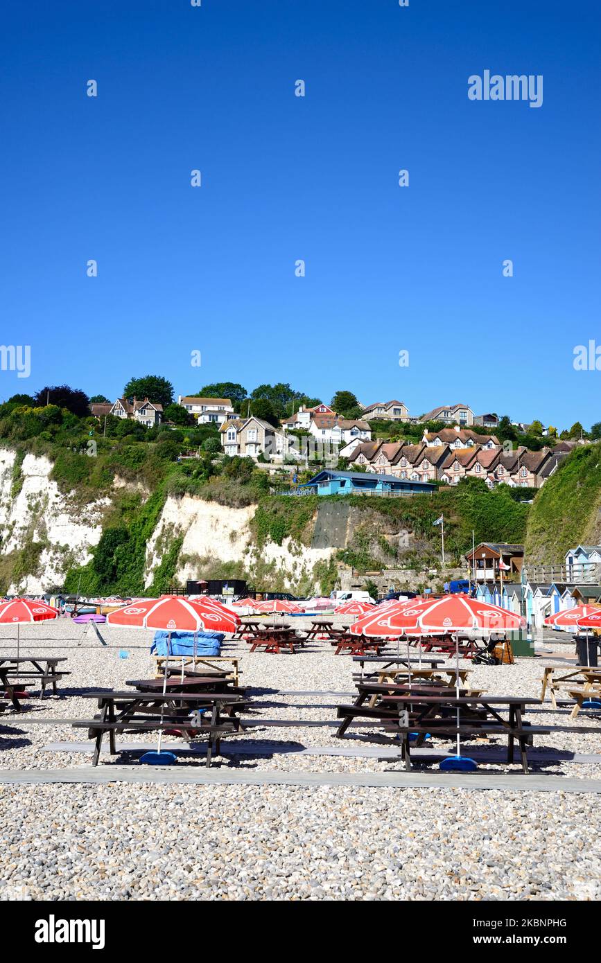 Cafe and beach huts on the beach with town buildings to the rear, Beer ...