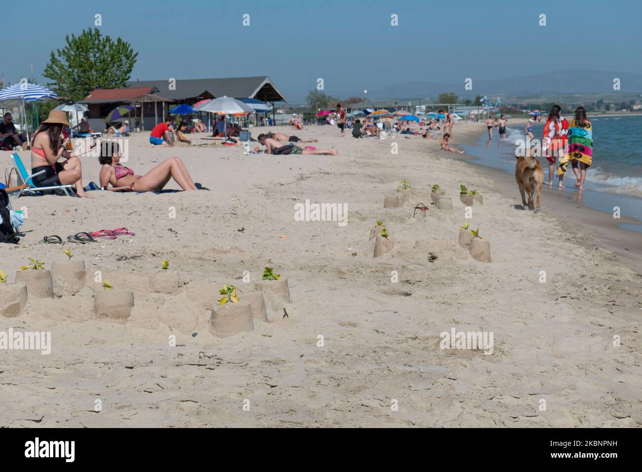 Women in transparent bikini hi-res stock photography and images - Alamy