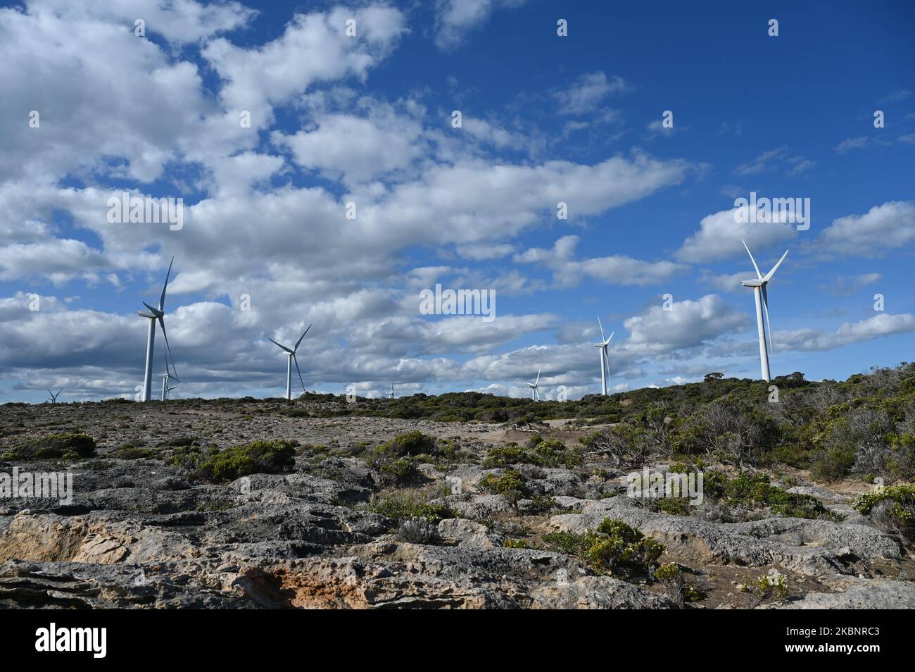 Wind generators turbines electricity at Cape Bridgewater, Australia ...