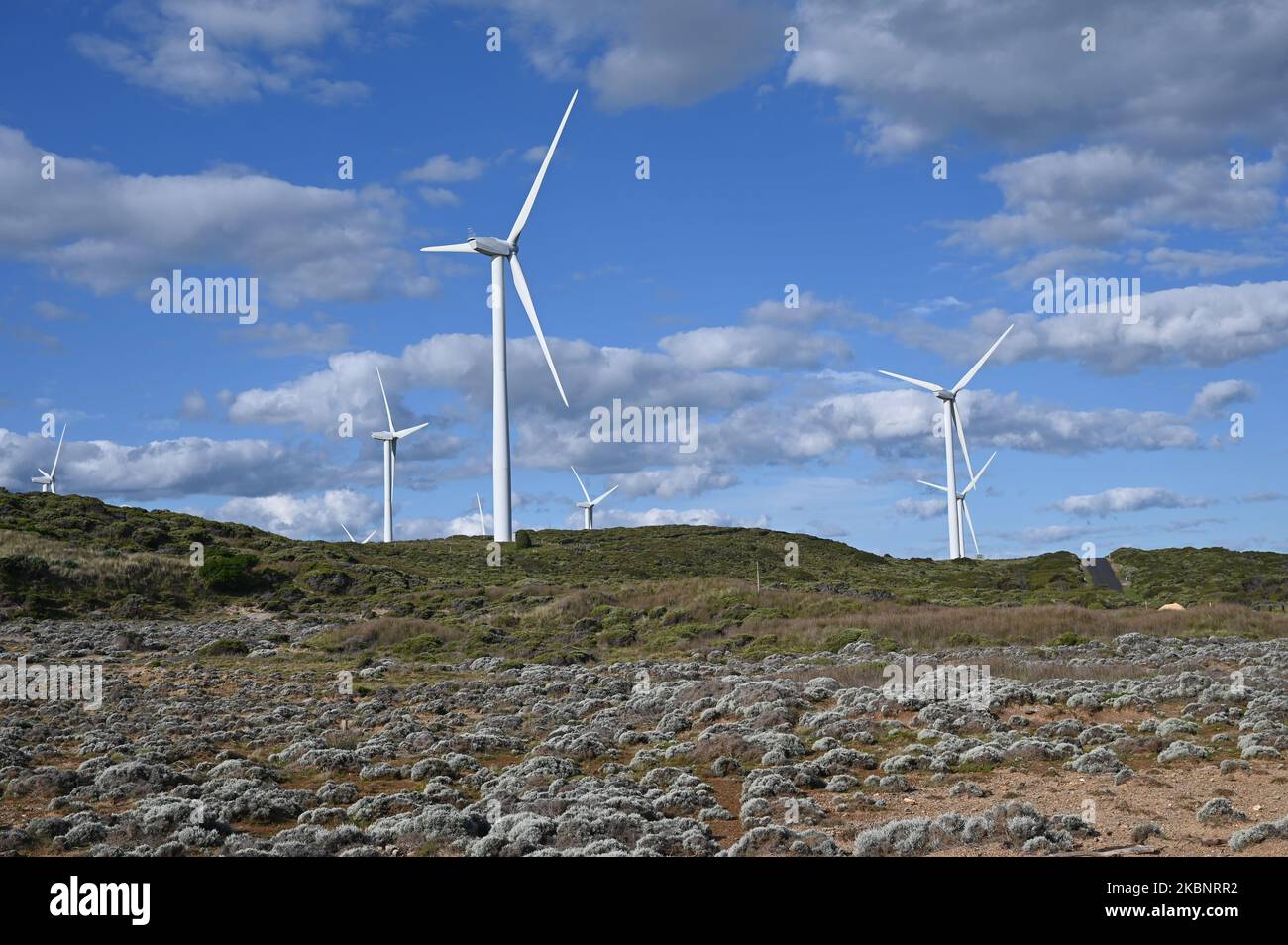 Wind generators turbines electricity at Cape Bridgewater, Australia ...