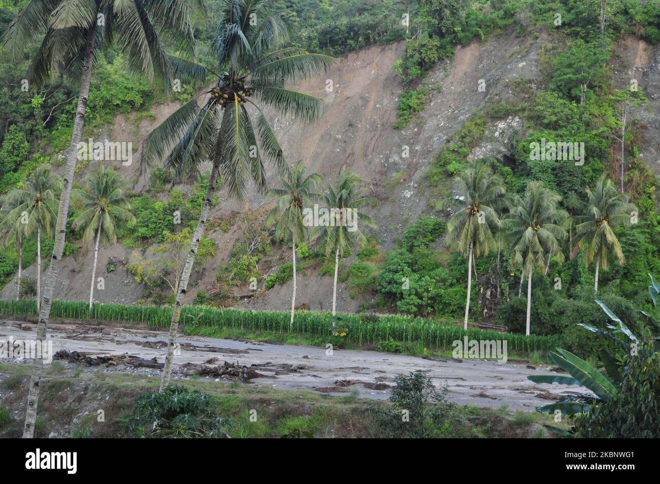 Impacts of deforestation hi-res stock photography and images - Alamy