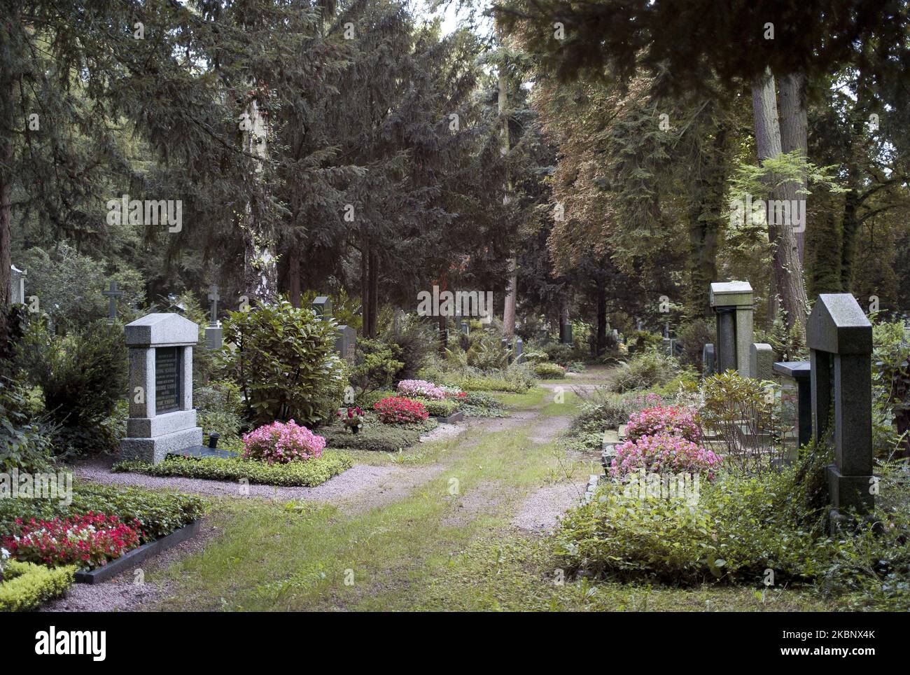 Overview of the main Frankfurt cemetery in Frankfurt, Germany, on ...