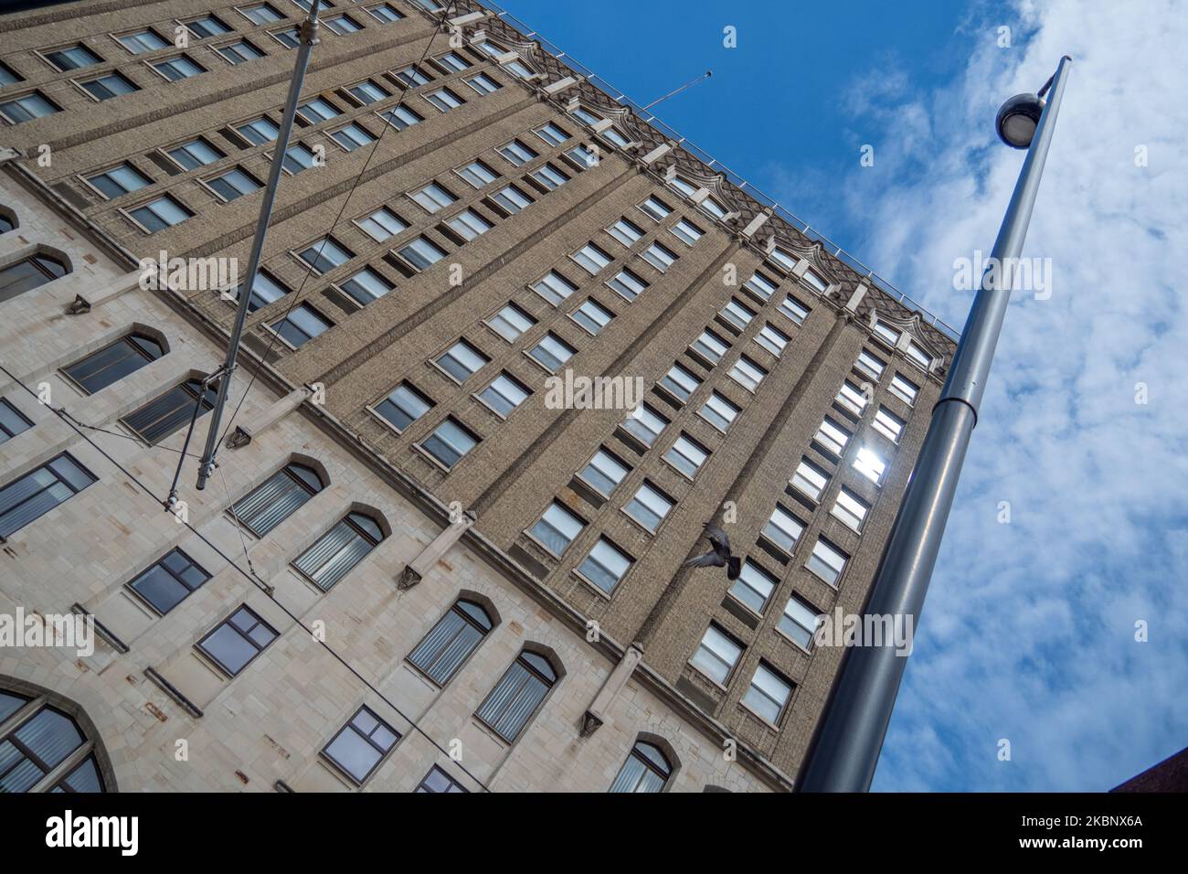 With less people in the streets, a pigeon takes to flight in the wake ...