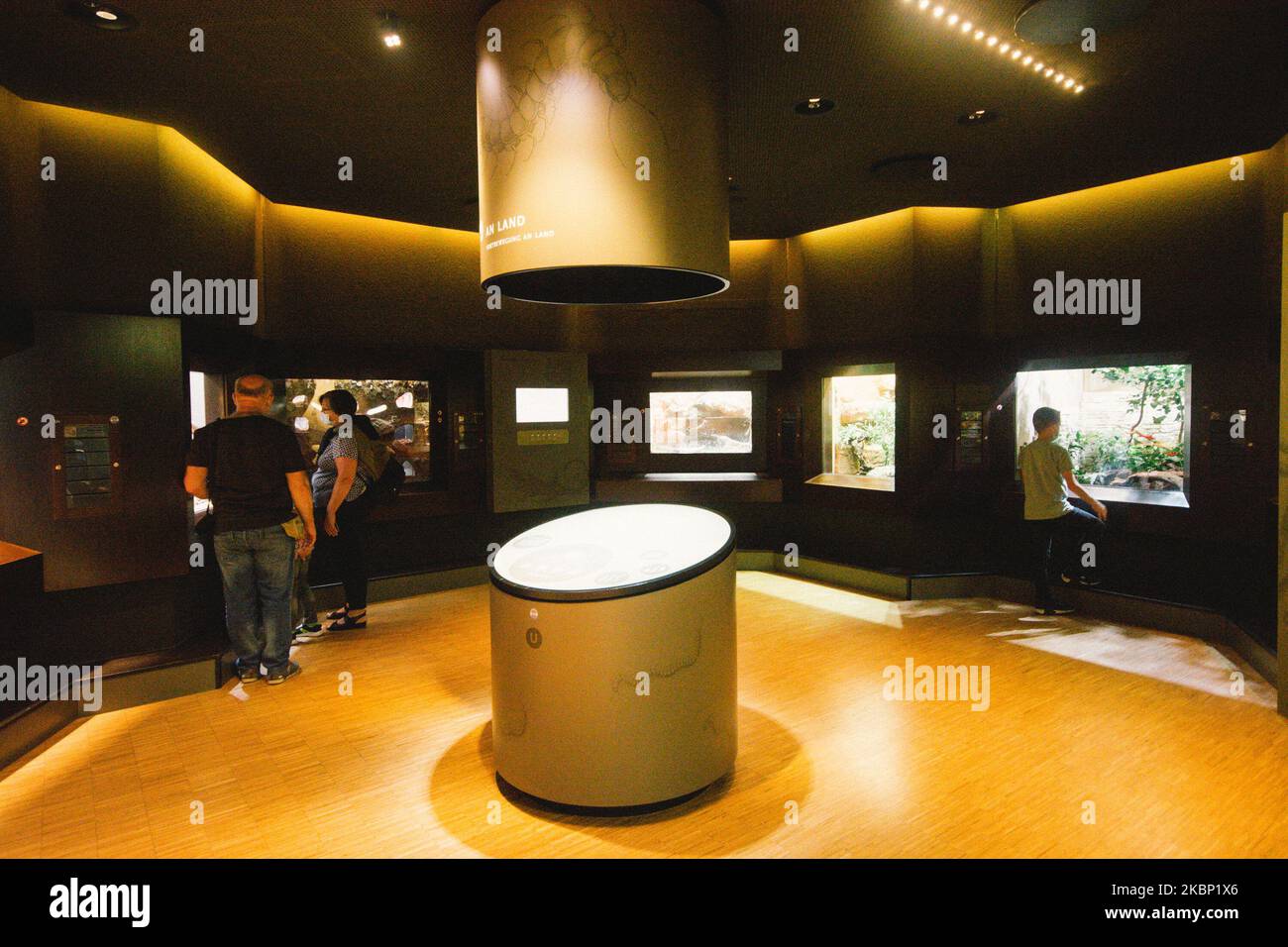 Visitors are seen with face mask inside the museum on the reopening day ...