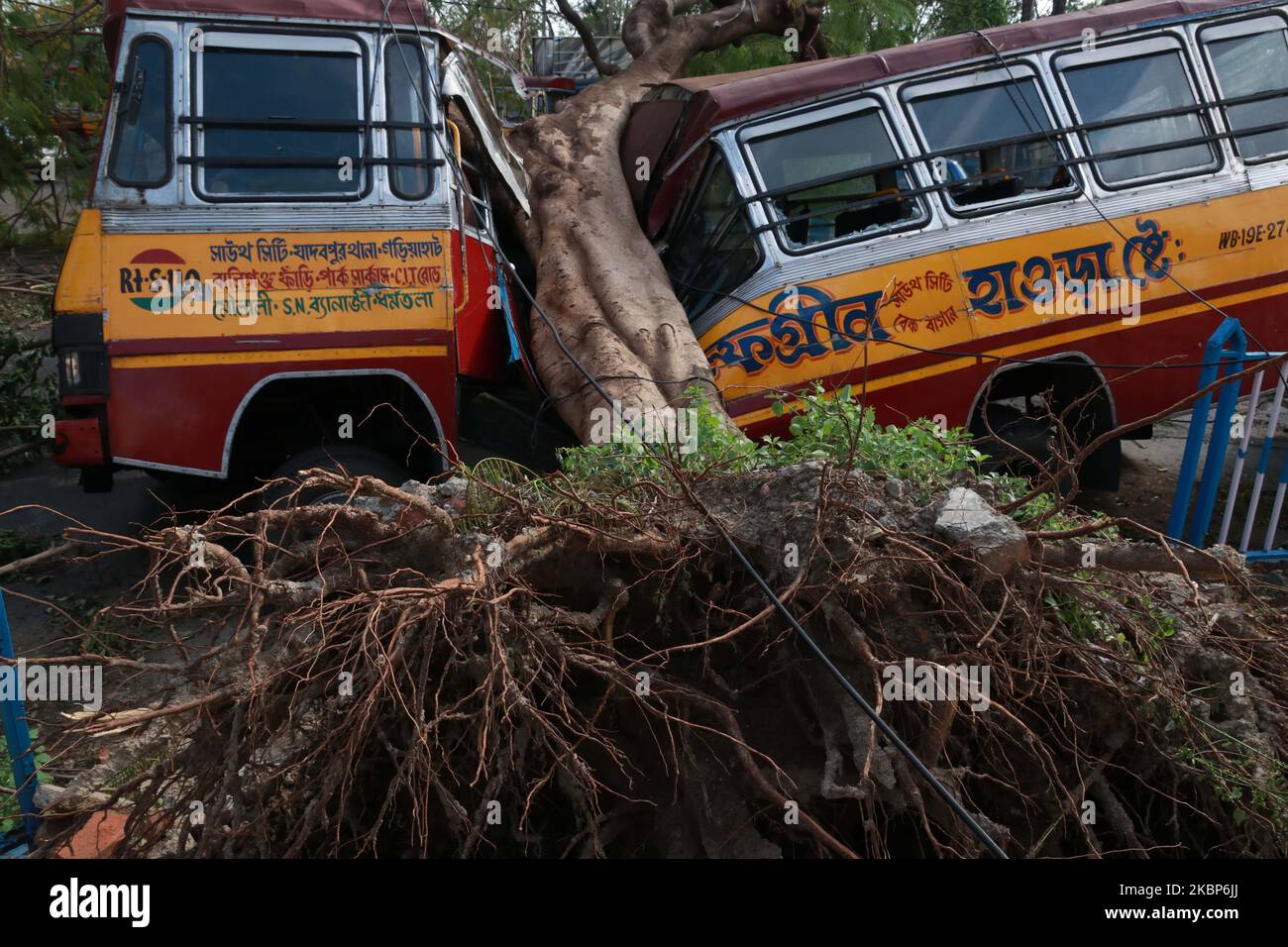 A Passenger bus damaged by a fallen tree due to Cyclone Amphan, is seen ...