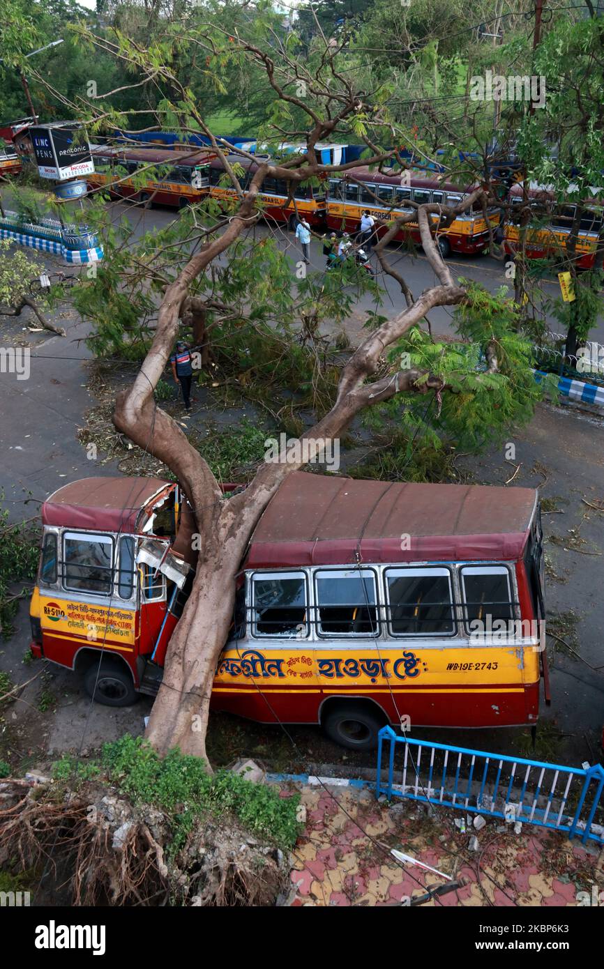 A Passenger bus damaged by a fallen tree due to Cyclone Amphan, is seen ...