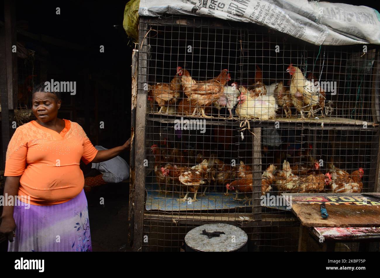 A market vendor is selling chicken at his shop in Lagos, as Muslims in ...