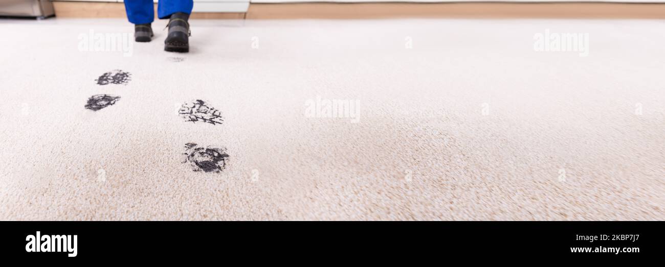 Muddy Carpet Footprint. Mud Footprints Indoors On Floor Stock Photo - Alamy