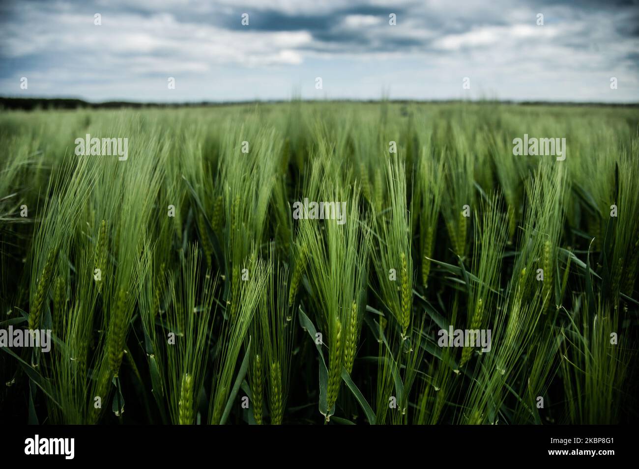 Bulgarian black sea village of balgarevo hi-res stock photography and ...