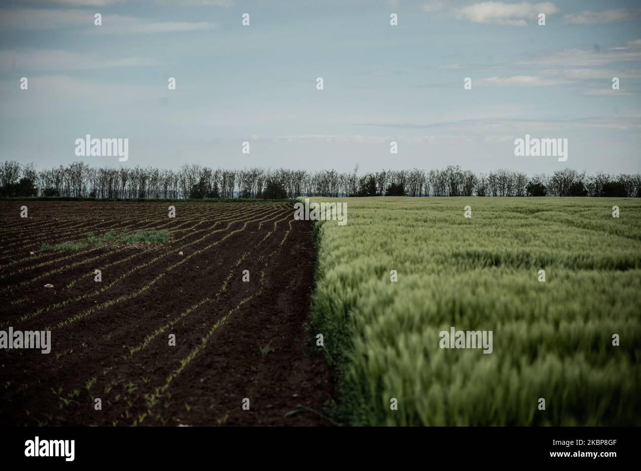 Bulgarian black sea village of balgarevo hi-res stock photography and ...