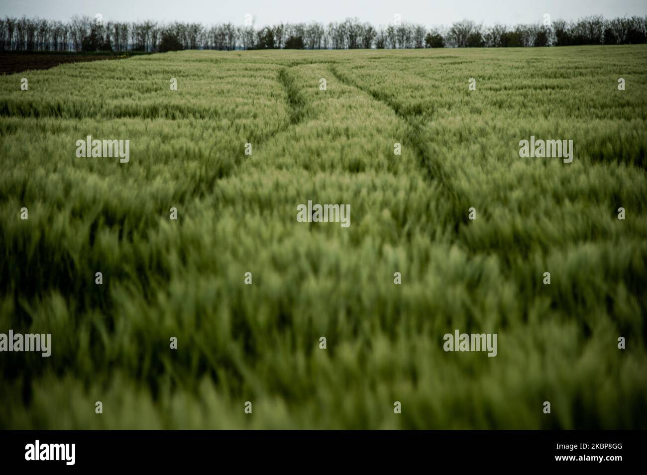 Bulgarian black sea village of balgarevo hi-res stock photography and ...