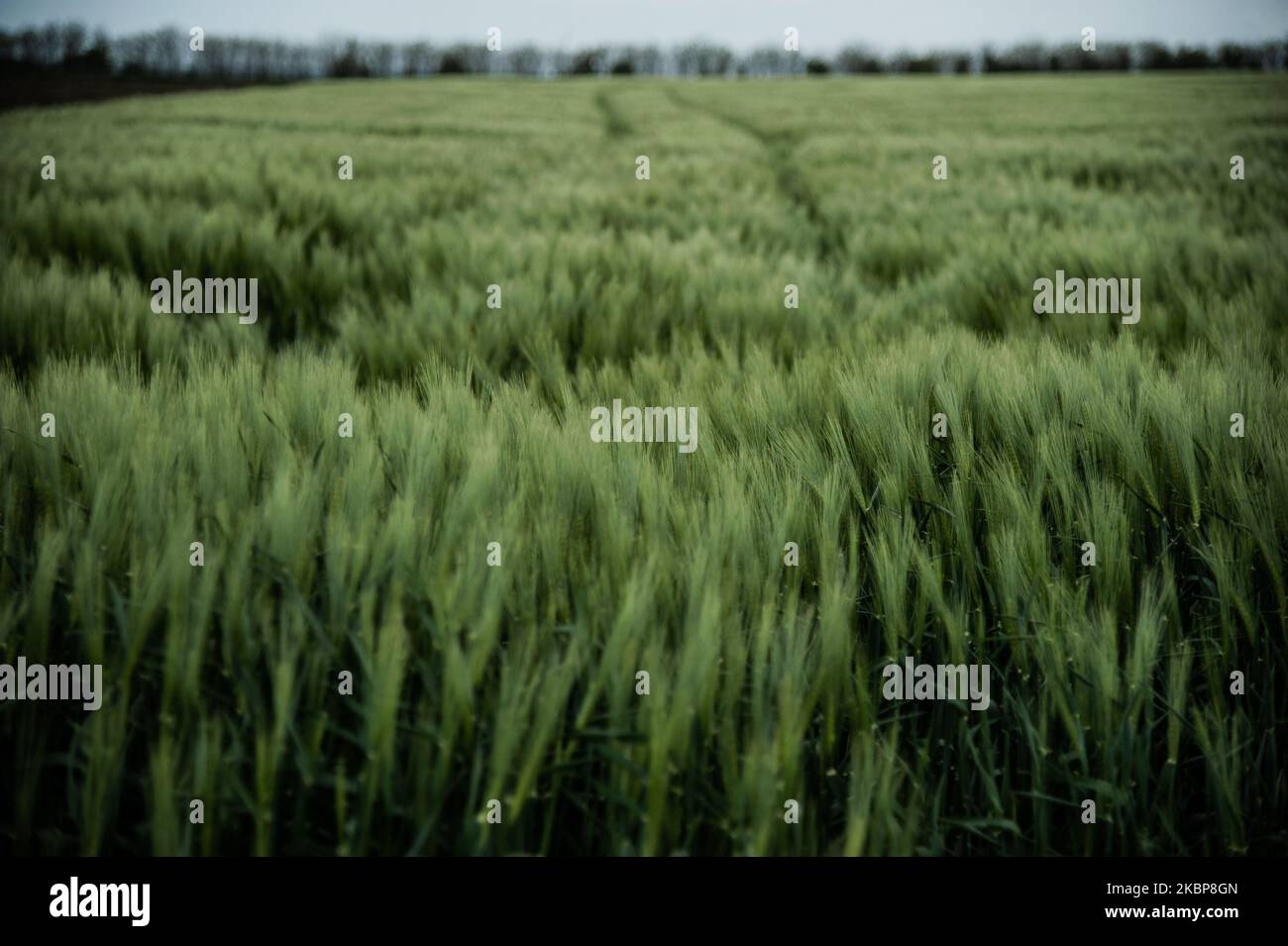 Bulgarian black sea village of balgarevo hi-res stock photography and ...