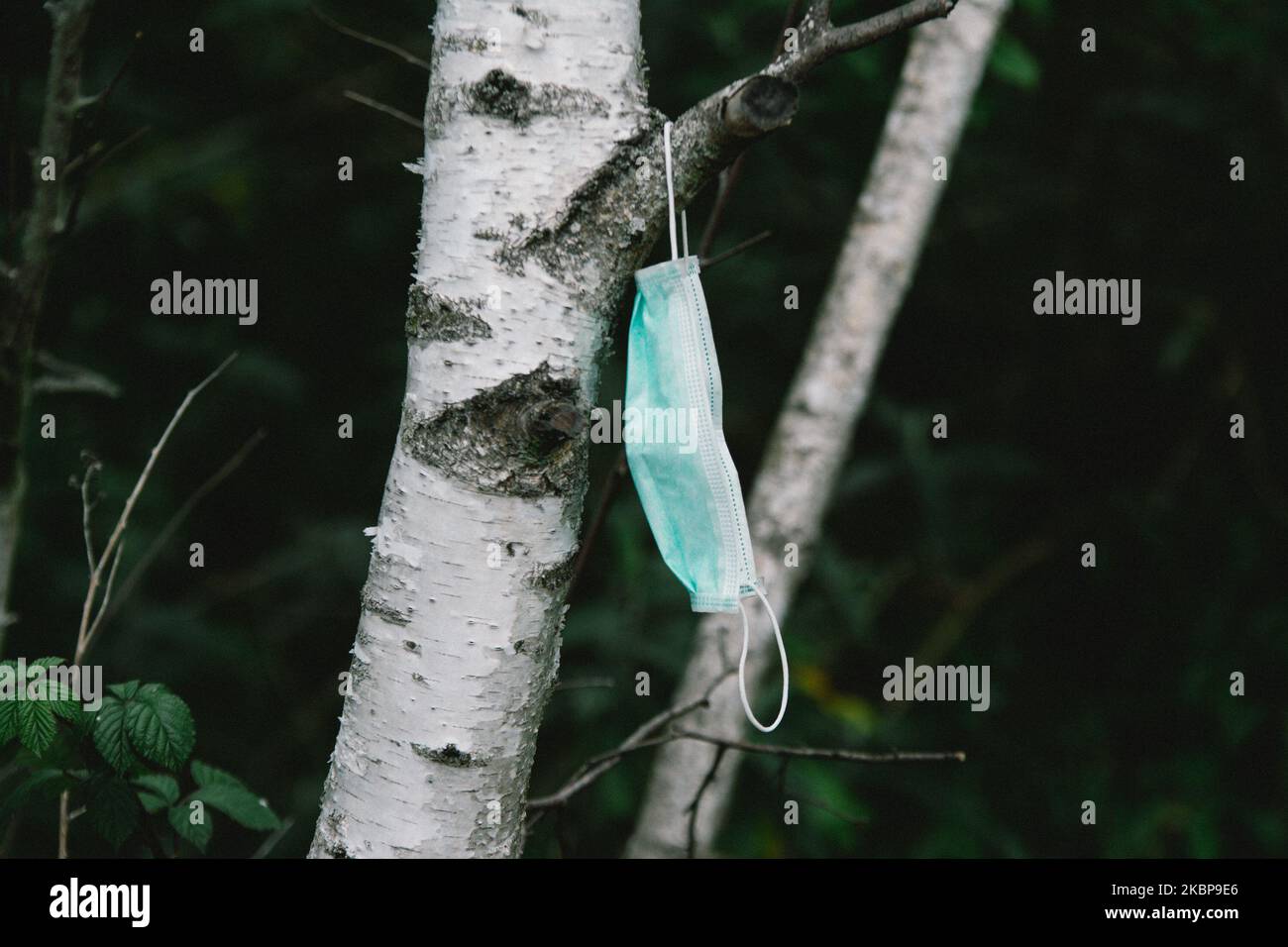 Yingphotograph hi-res stock photography and images - Alamy