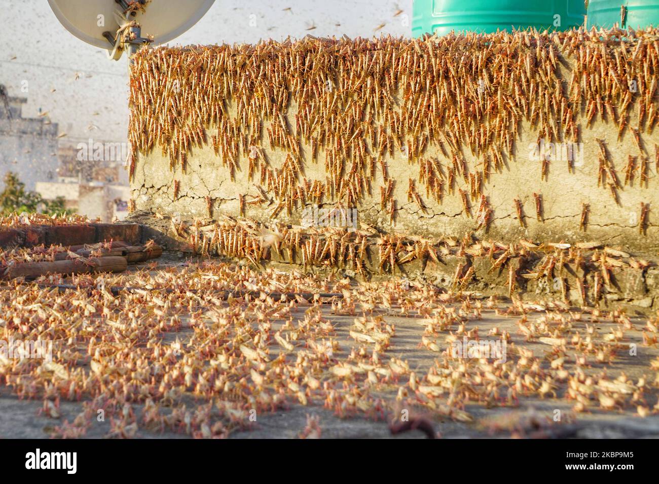 Residential area newsmag2020may26 hi-res stock photography and images ...