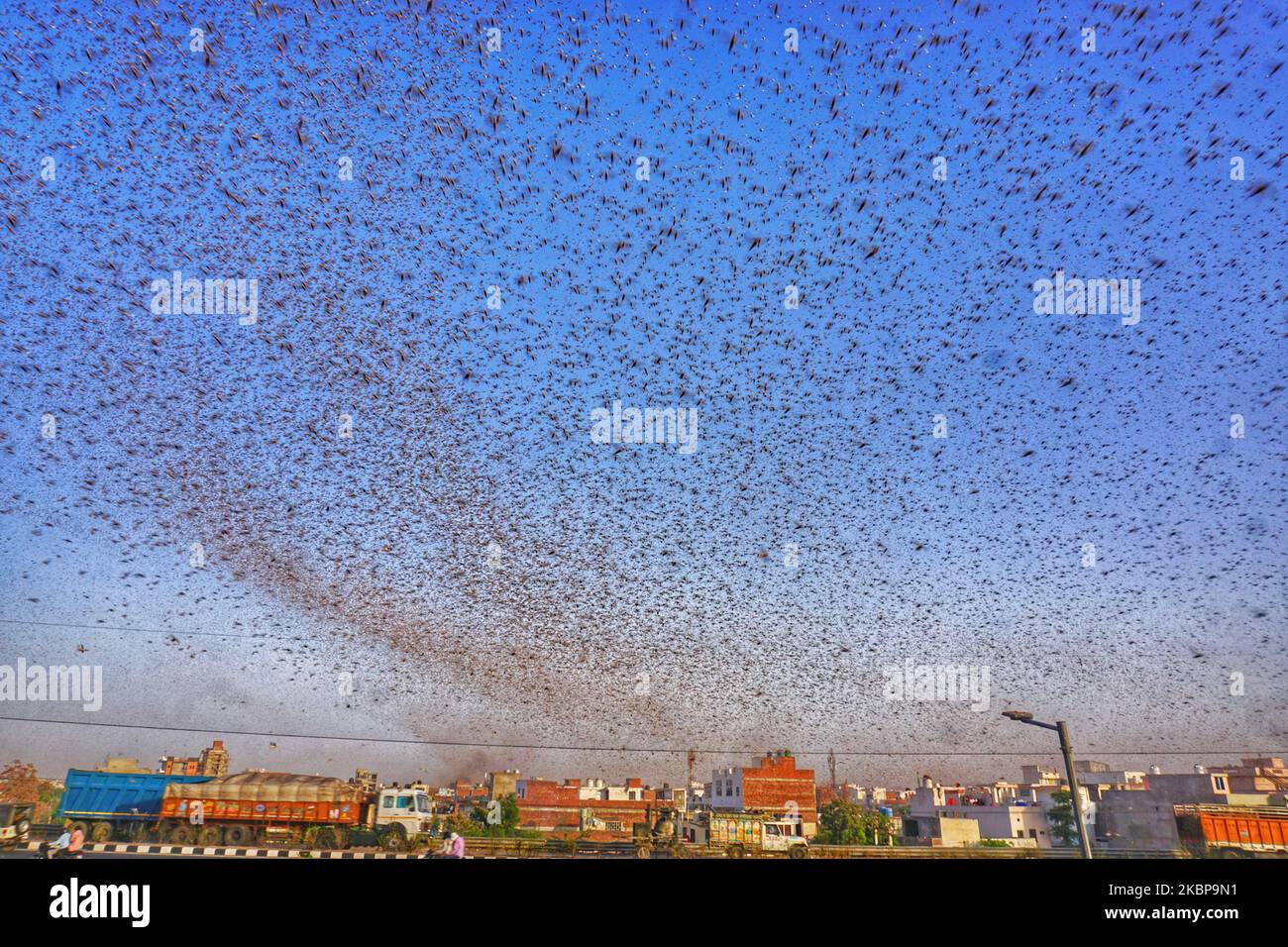 Residential area newsmag2020may26 hi-res stock photography and images ...